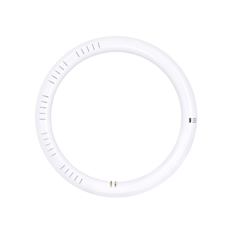 LEDvance 41207 DUALescent 8" 11W LED T9 Circline Lamp, G10q Base, Type