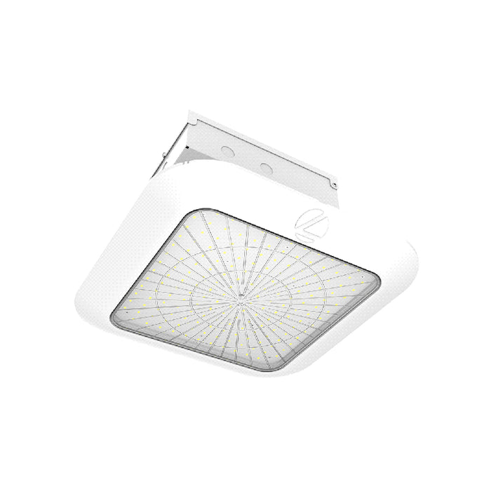 Lithonia PCNY LED 46W/62W/84W Petroleum LED Canopy Light, Lumens Selec